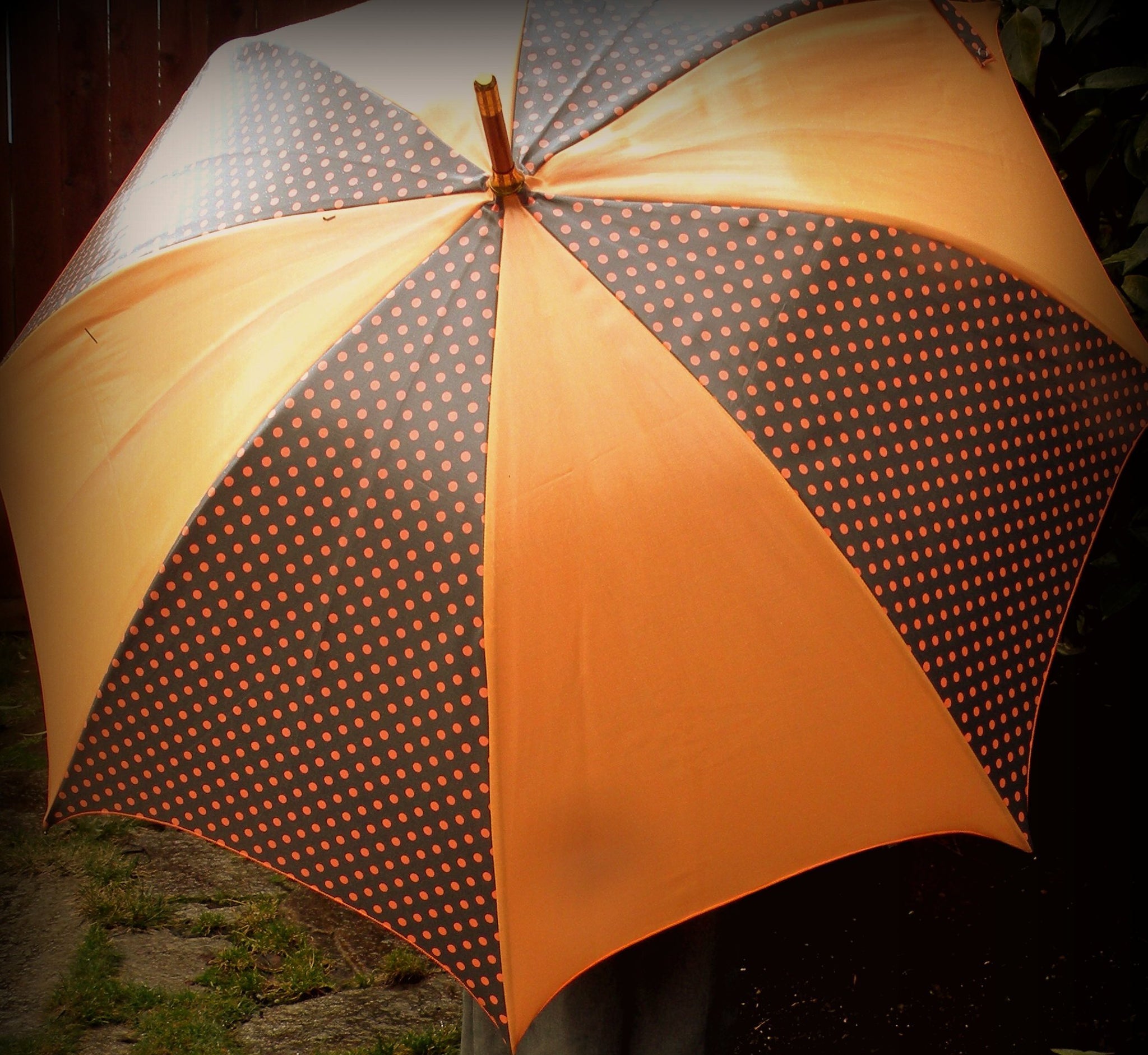 Classic 48 inch Umbrella Pattern Umbrella Joan